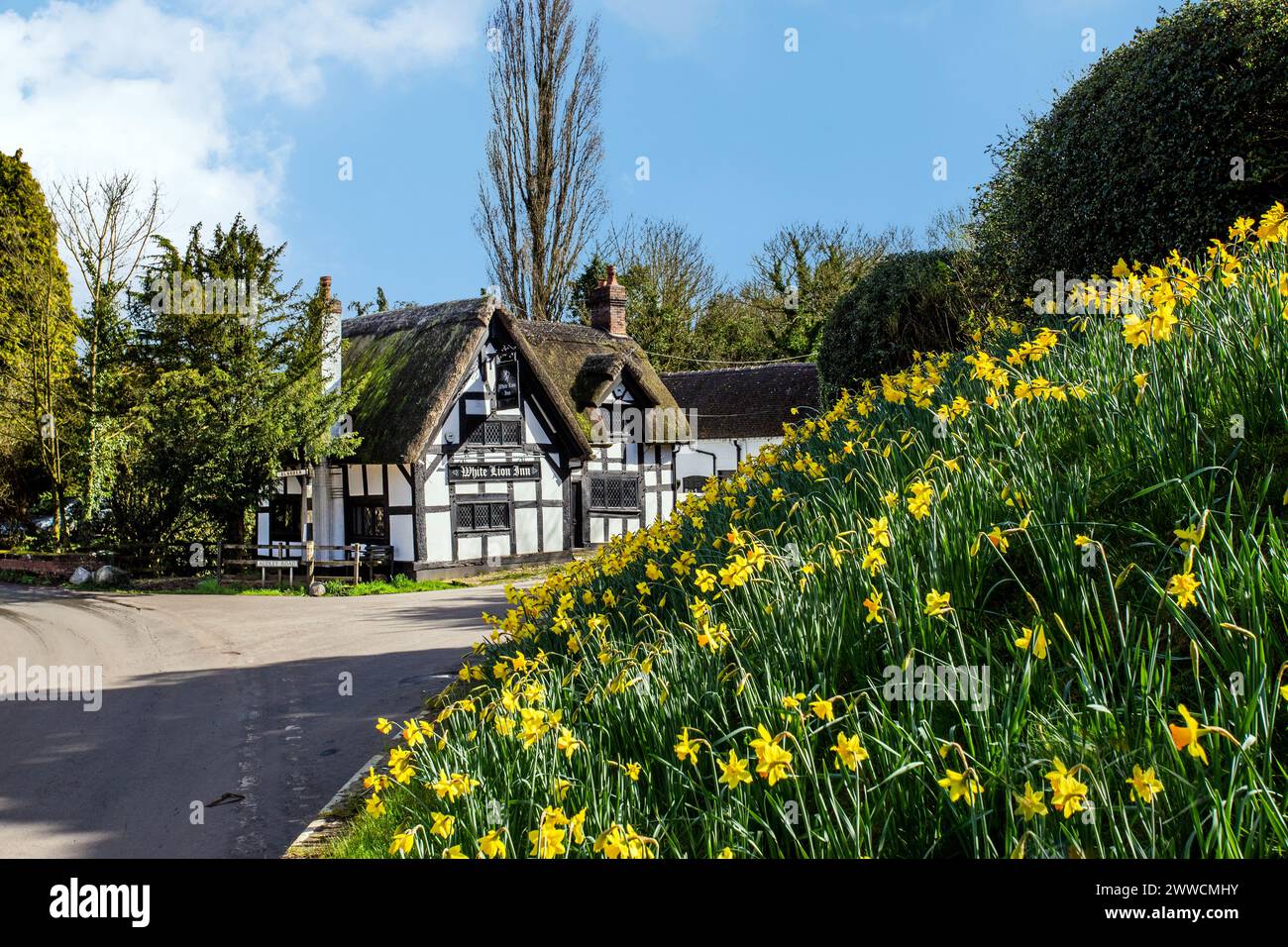The White Lion a17th century black and white half timbered thatched ...