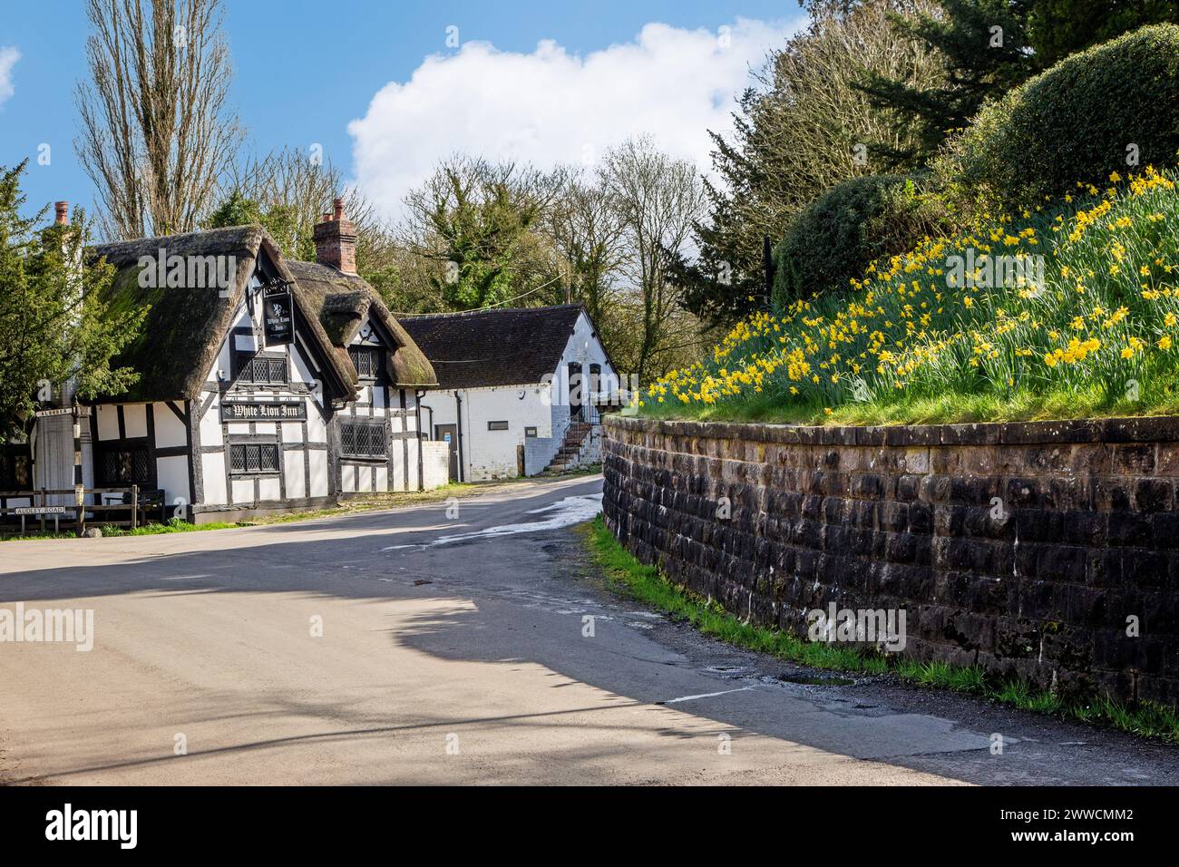 The White Lion a17th century black and white half timbered thatched ...
