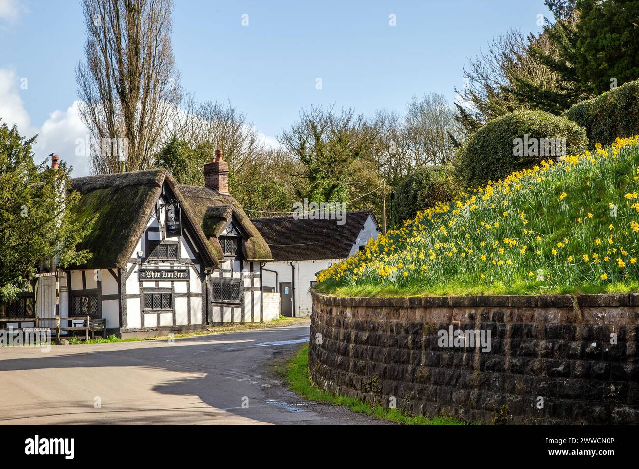 The White Lion a17th century black and white half timbered thatched ...