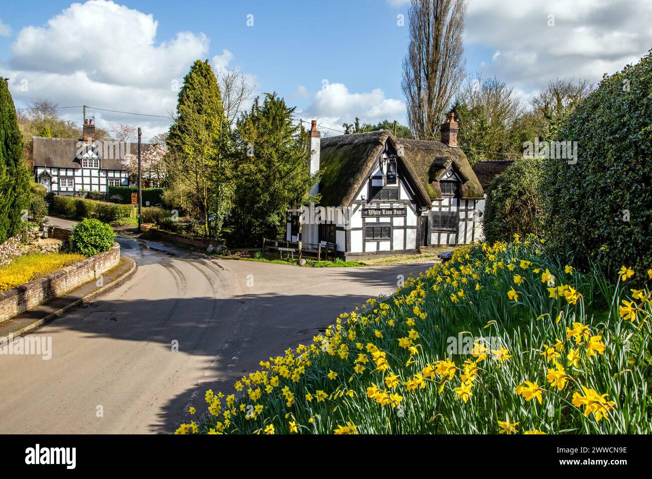 The White Lion a17th century black and white half timbered thatched ...