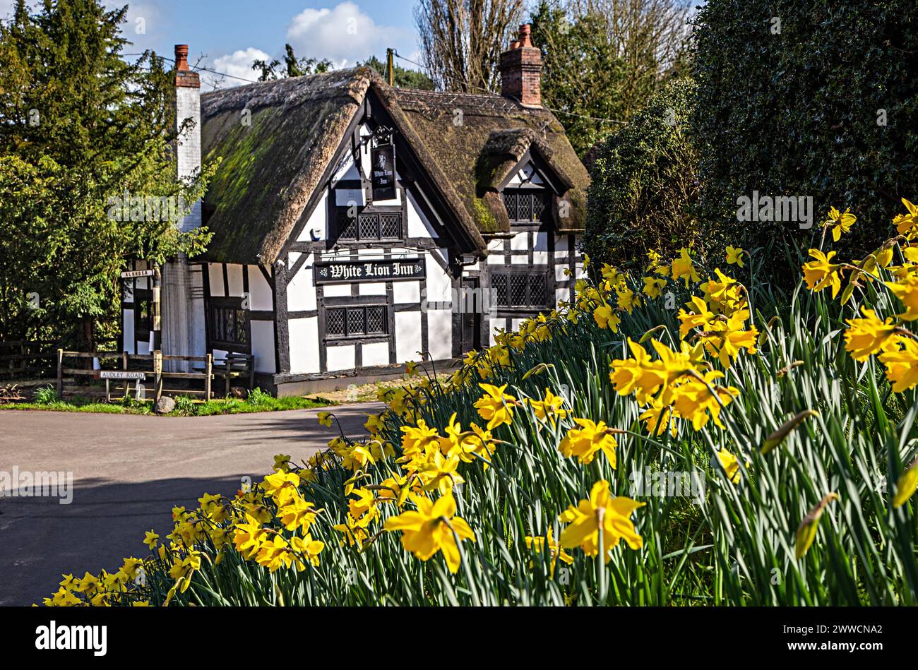 The White Lion a17th century black and white half timbered thatched ...