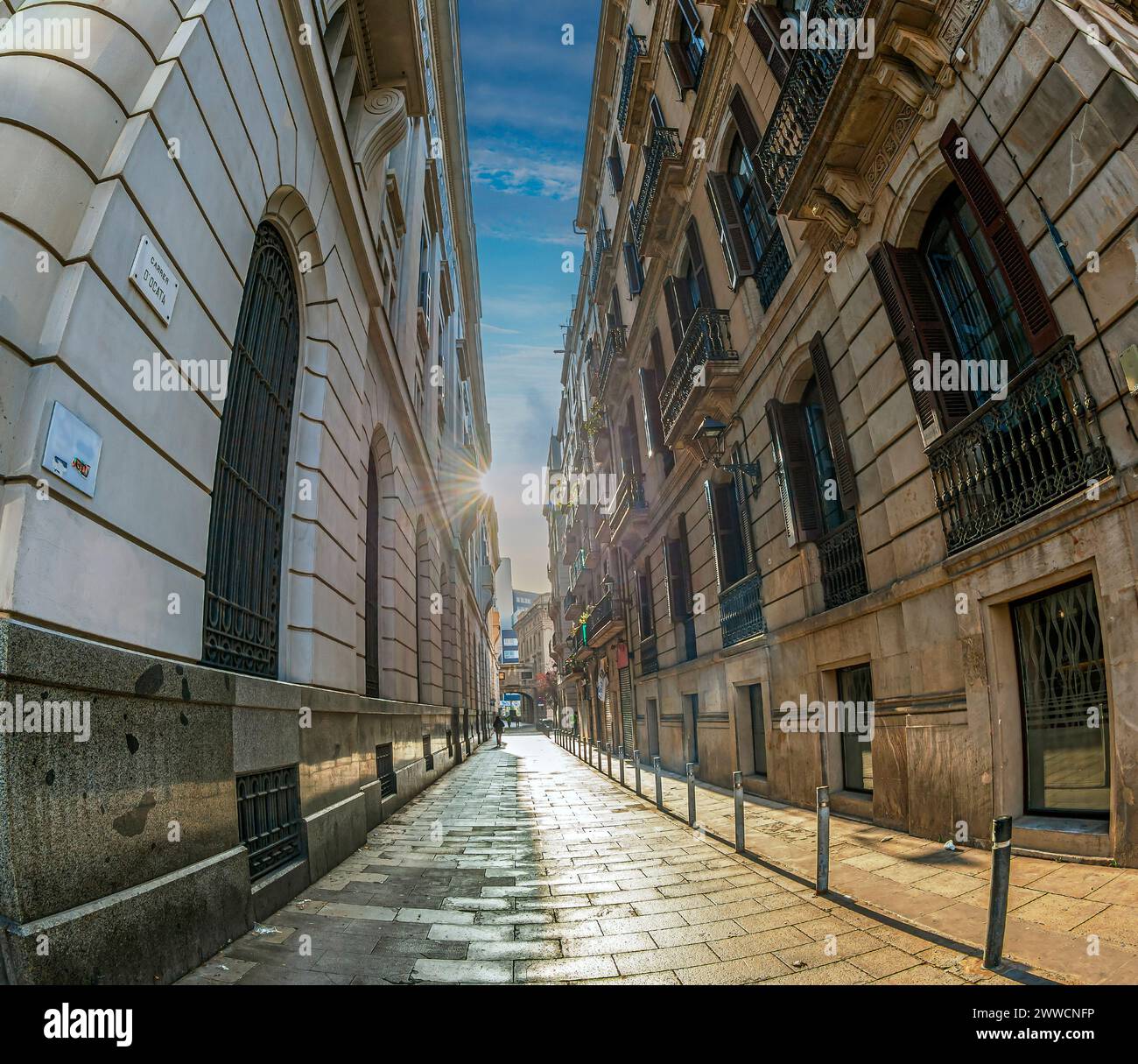 Carrer docata hi-res stock photography and images - Alamy