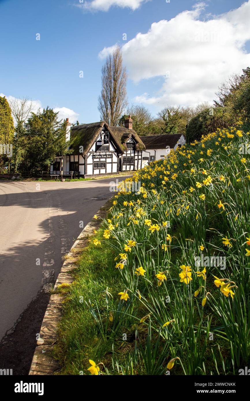 The White Lion a17th century black and white half timbered thatched ...