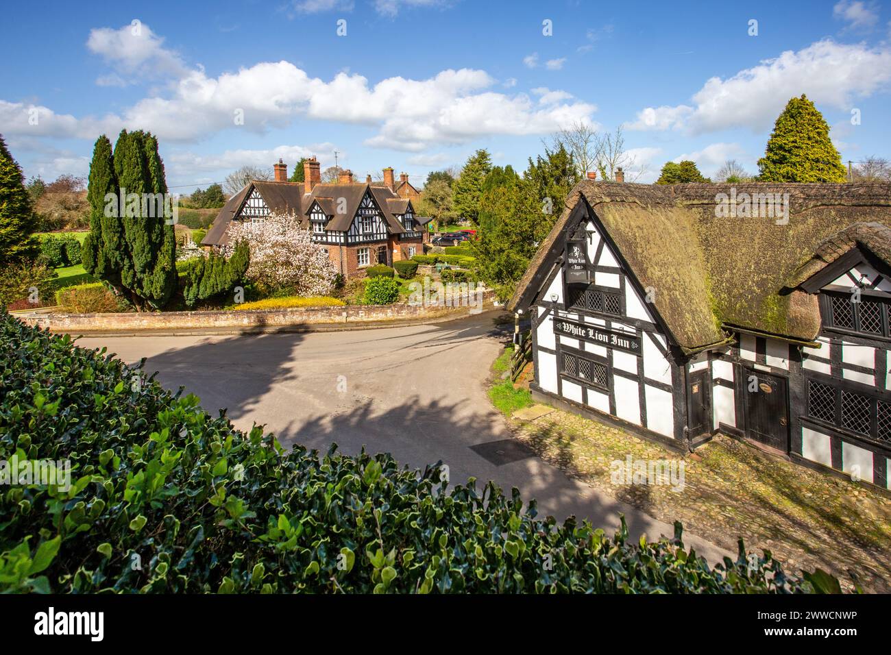 The White Lion a17th century black and white half timbered thatched ...