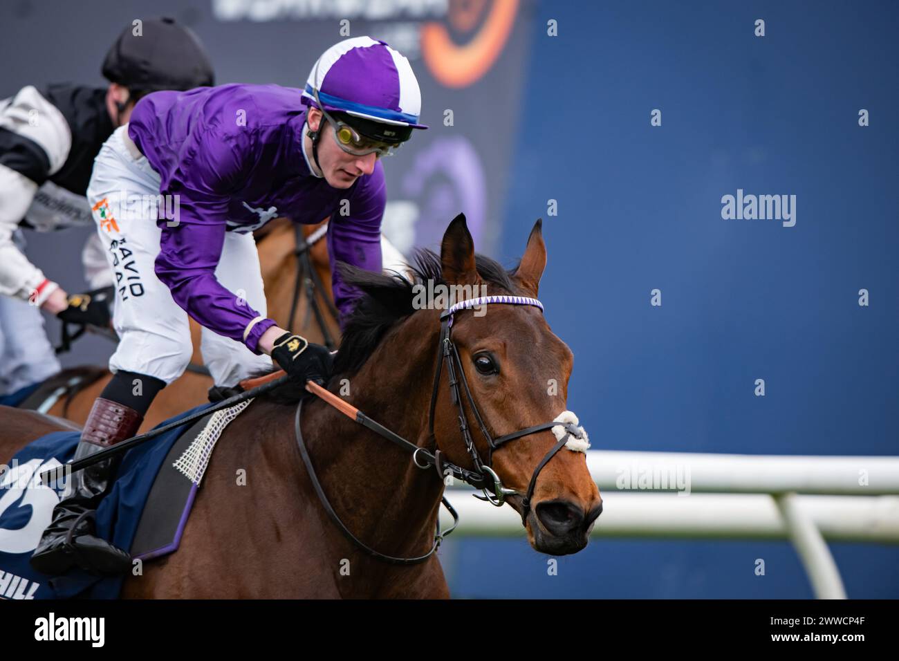 David egan amo racing hi-res stock photography and images - Alamy