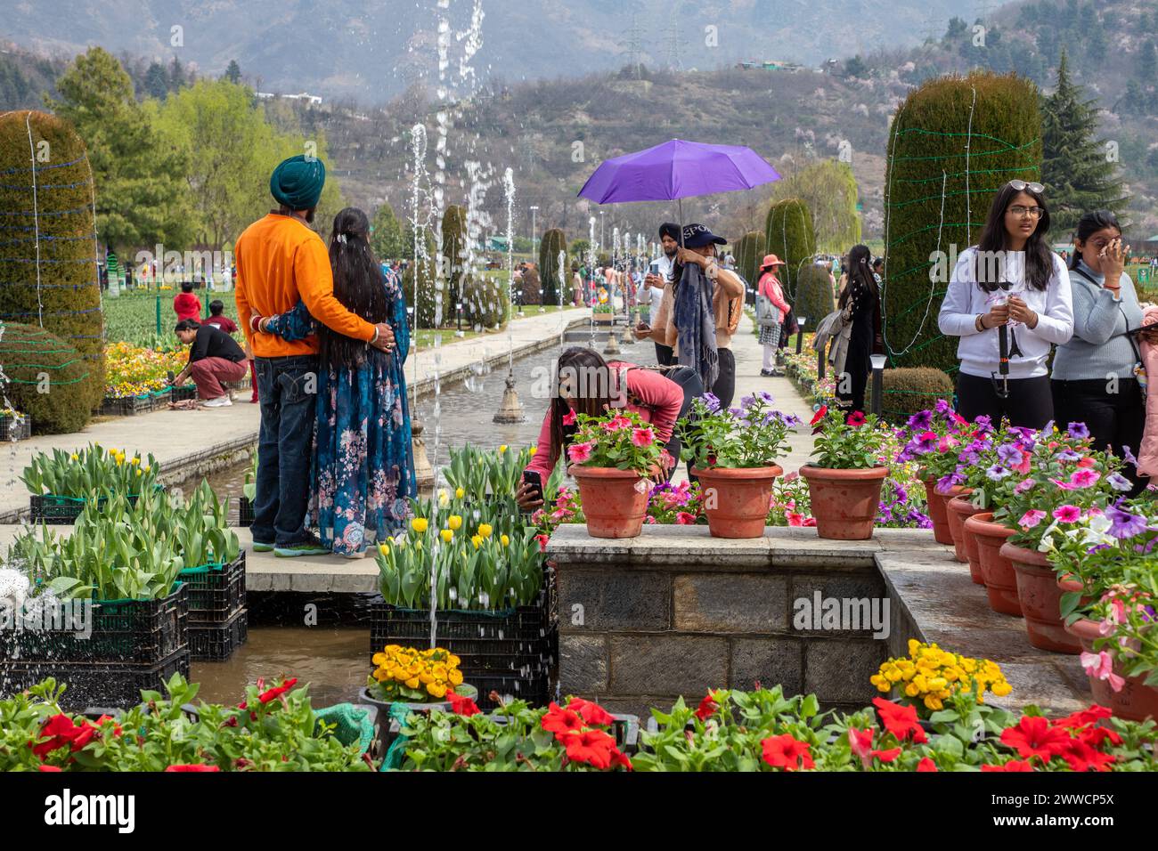 Indian tourists taking pictures inside the Asia's largest tulip garden ...