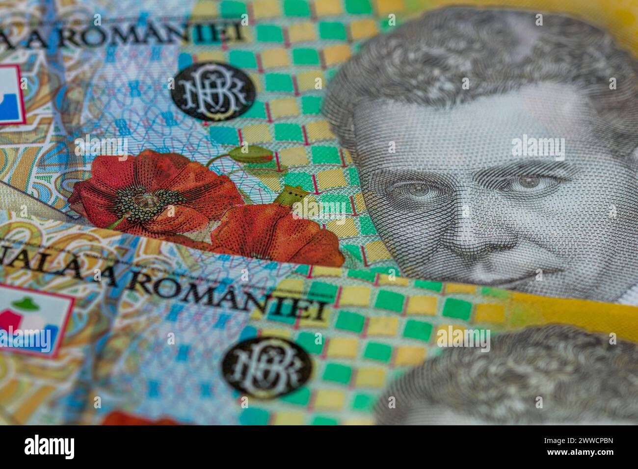 LEI money banknotes, detail photo of RON. Romanian currency Stock Photo ...