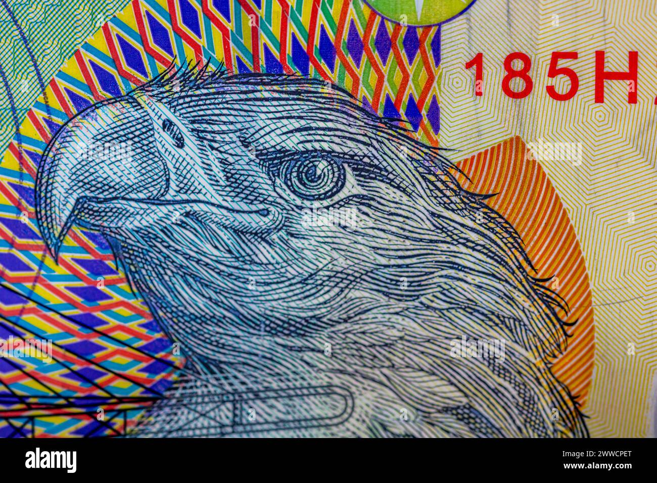 LEI money banknotes, detail photo of RON. Romanian currency Stock Photo ...