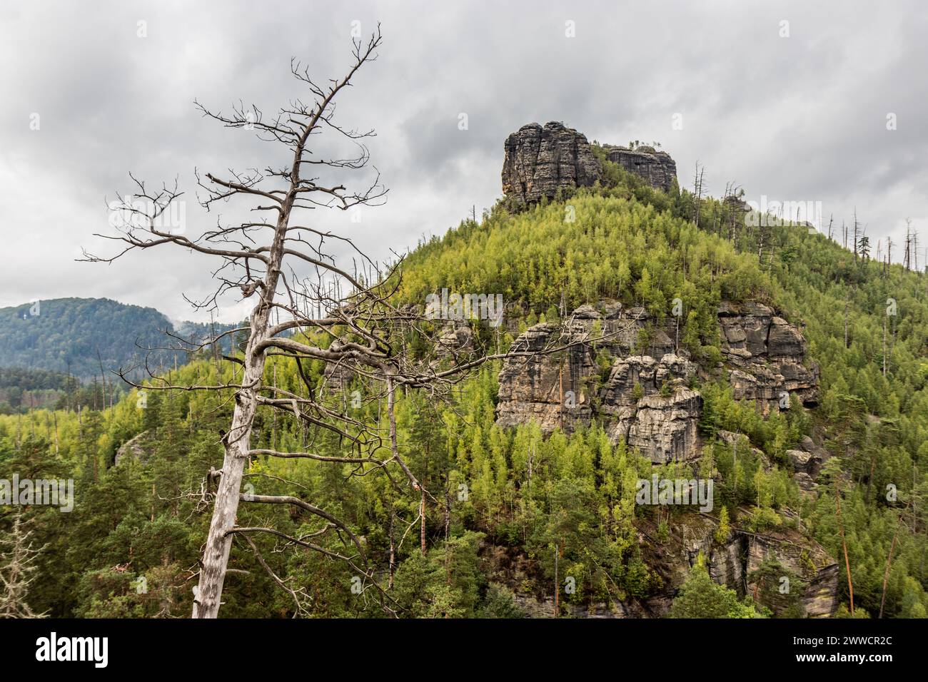 Havrani skala rock in the Czech Switzerland National Park, Czech ...