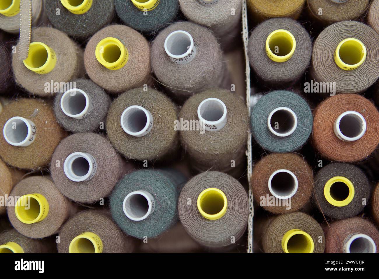 Top view wooden box compartment hi-res stock photography and images - Alamy