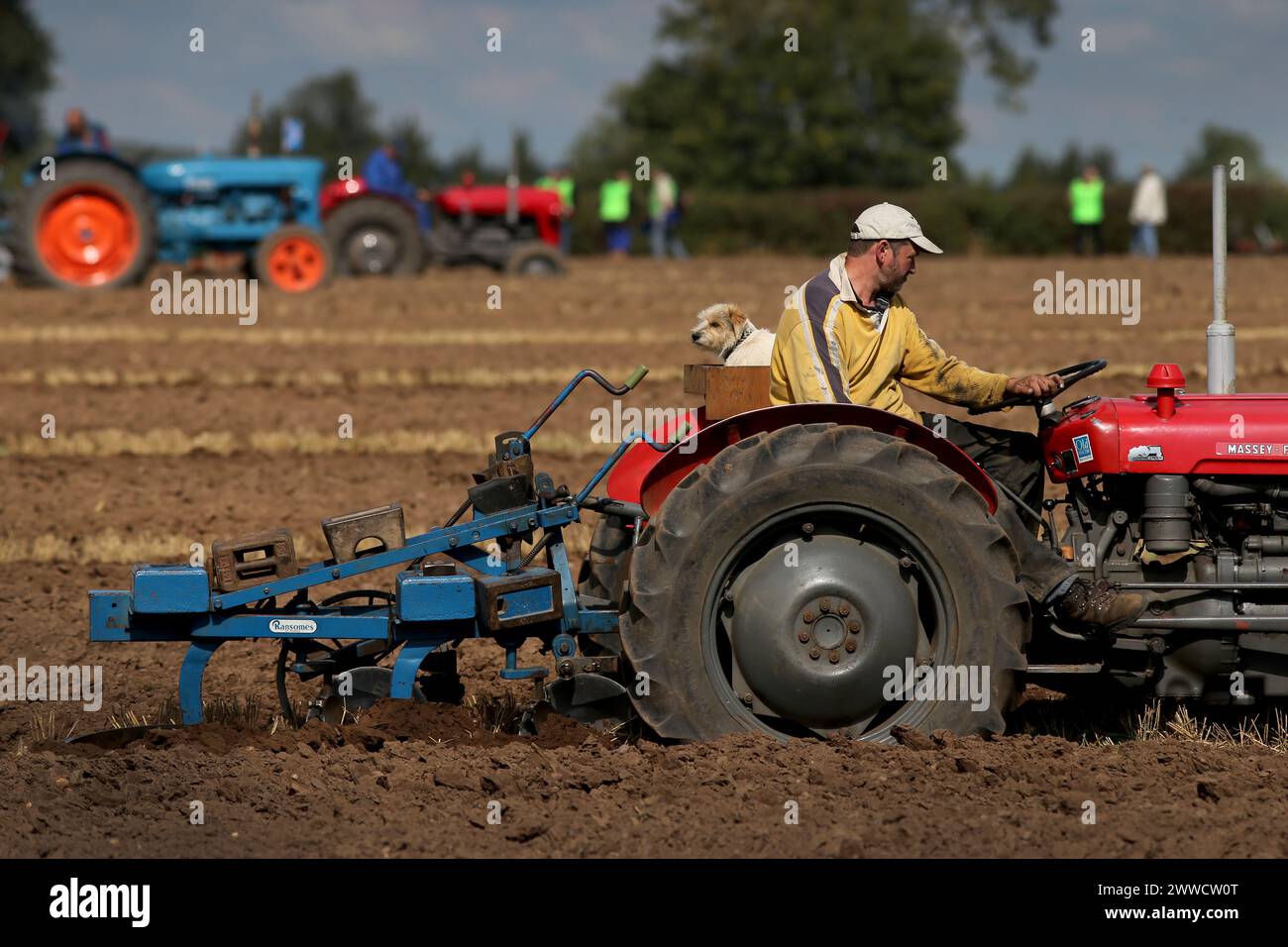 0709/13 Joey a two-year-old Jack Russell keeps watch on previous winner ...