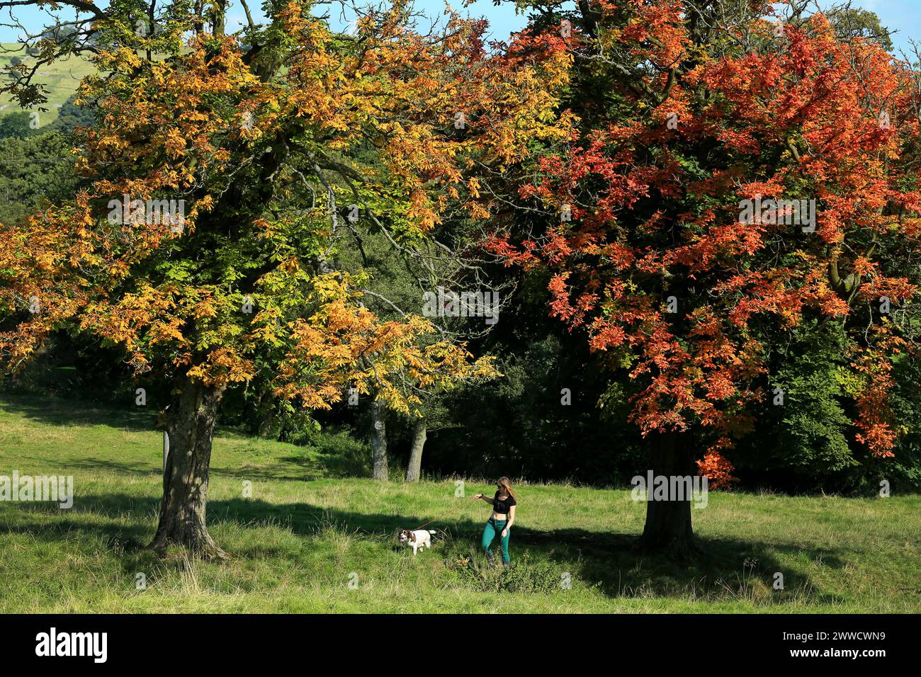 22/09/13 As autumn temperatures heat up, Chloe Lester, 20, takes a ...