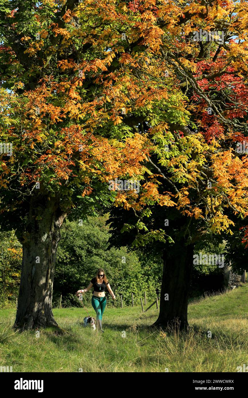22/09/13 As autumn temperatures heat up, Chloe Lester, 20, takes a ...