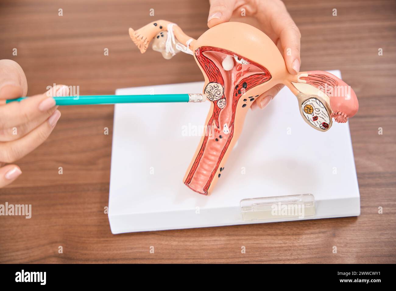 The lector of medical university explaining to student new theme Stock ...