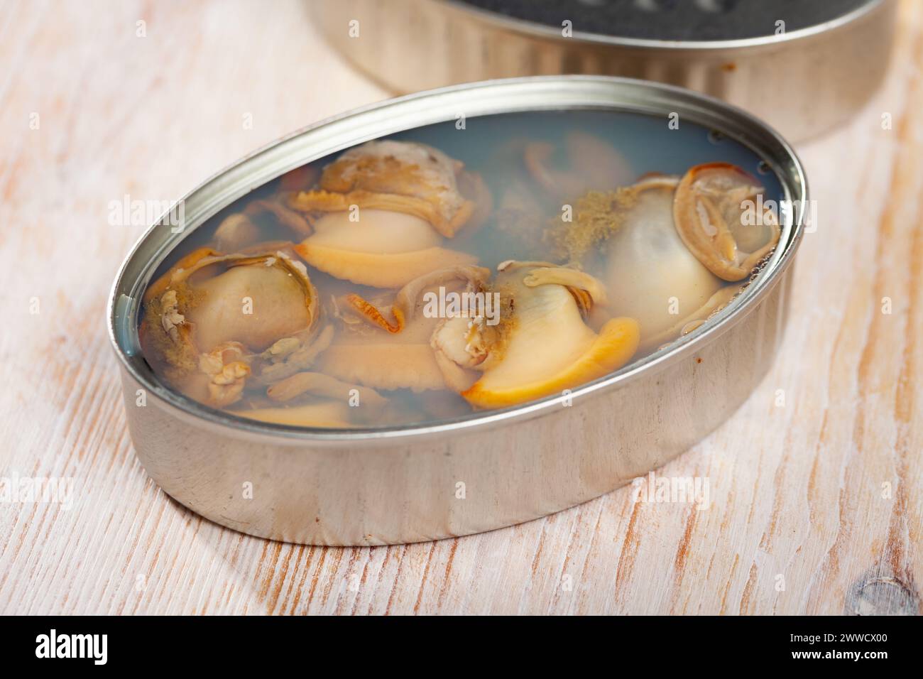 Freshwater clams hi-res stock photography and images - Alamy