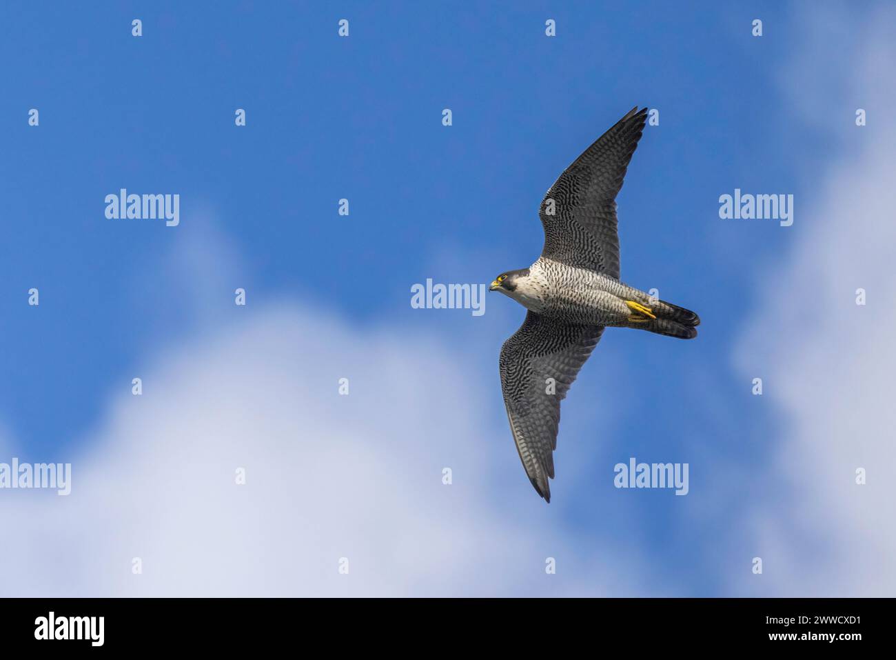 Overhead fly past hi-res stock photography and images - Alamy