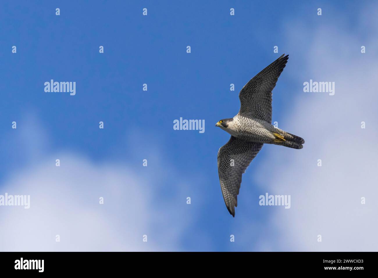 Overhead fly past hi-res stock photography and images - Alamy