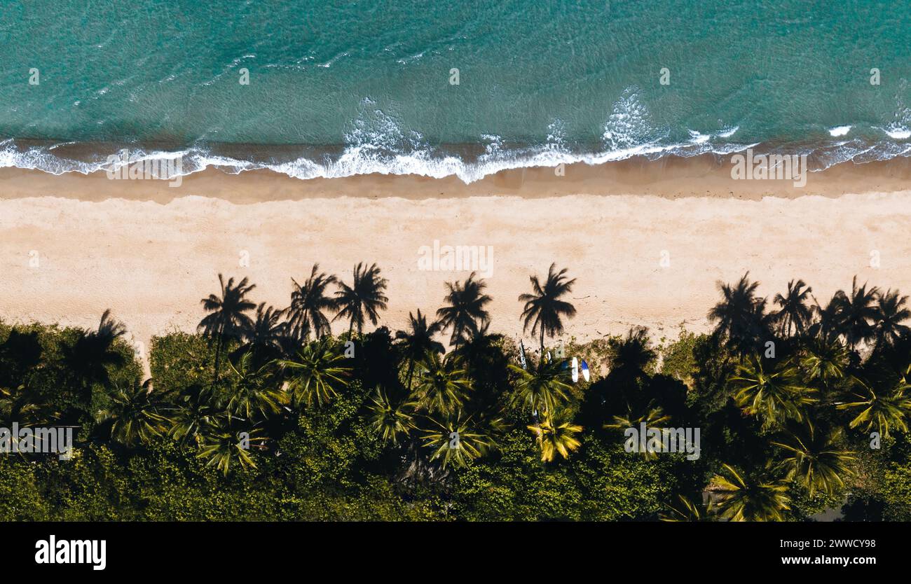 Aerial drone shot of Bingil Bay Beach at Mission Beach, Tropical North ...