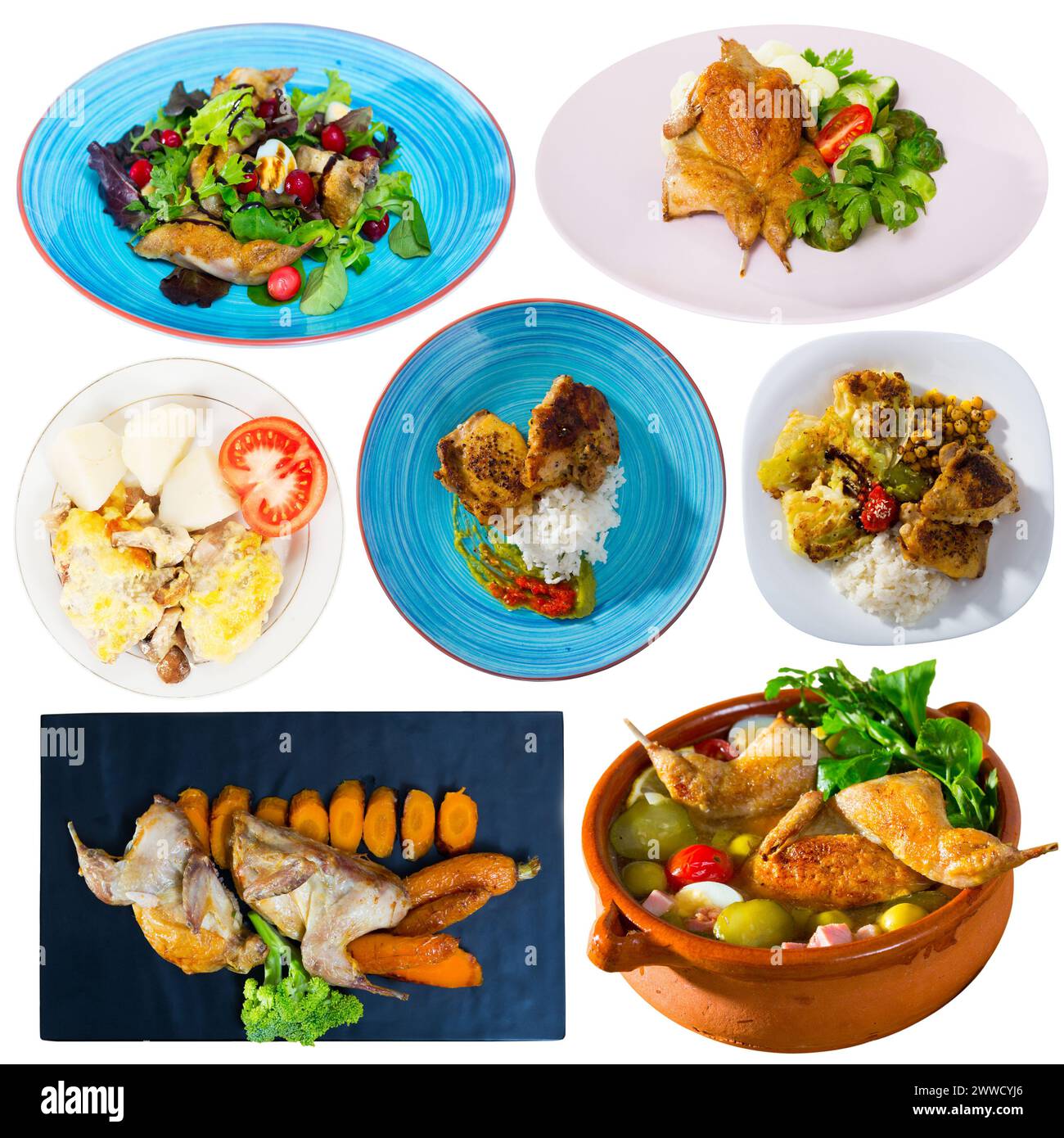 Dishes with cooked fried chicken and baked quail with different ...