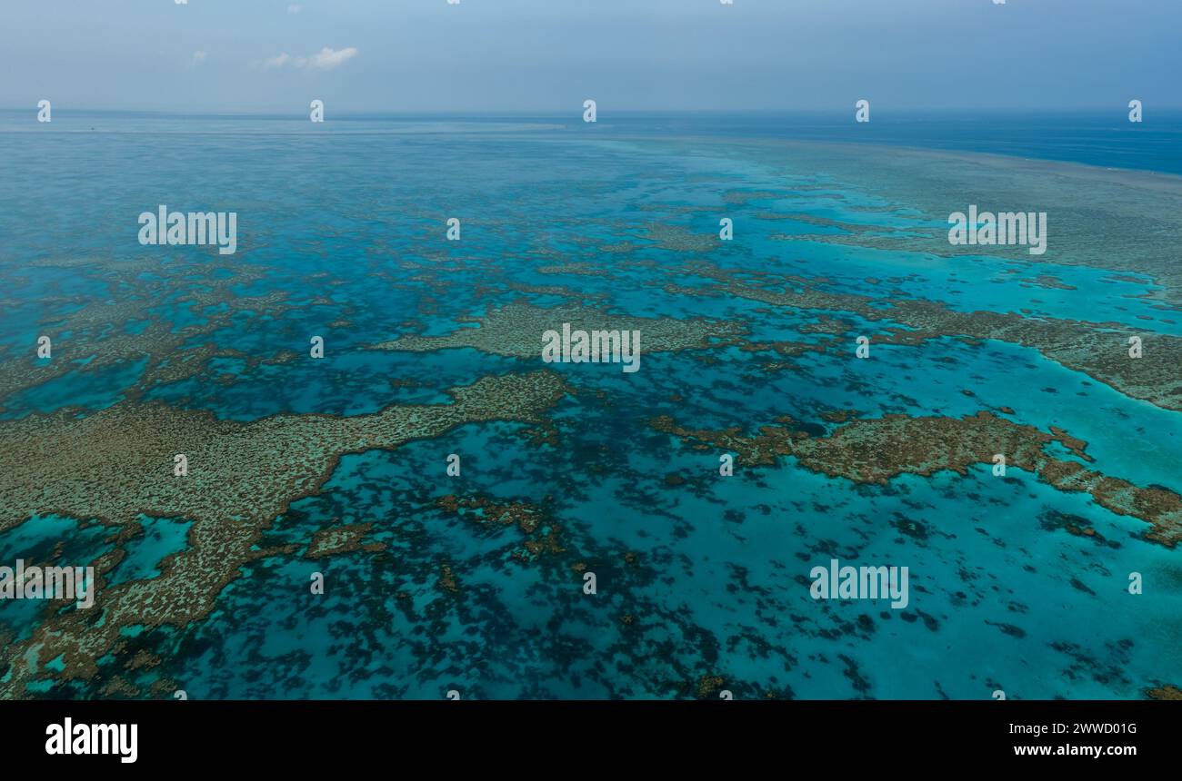 Aerial view of Great Barrier Reef coral reef structure in Whitsundays ...