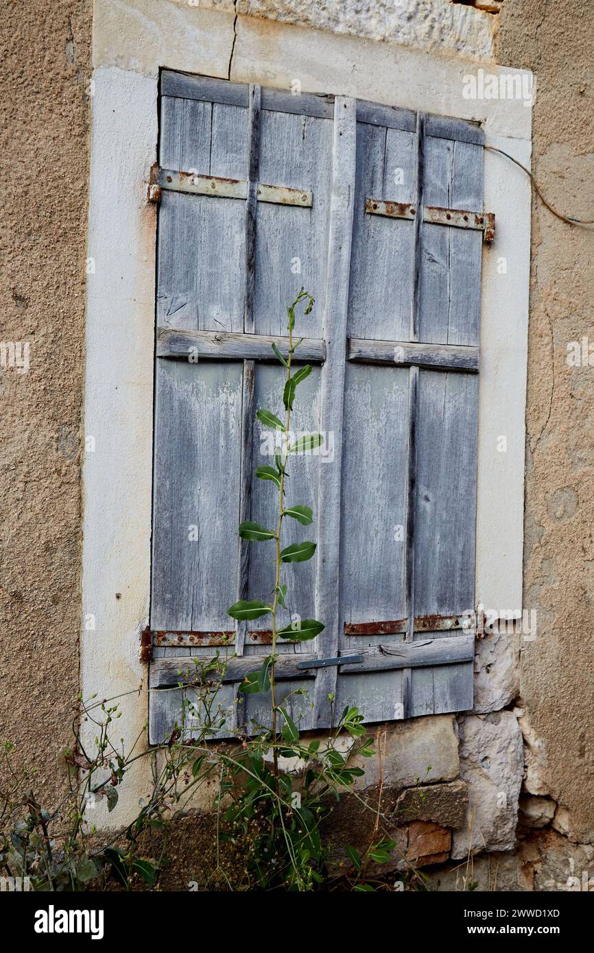 Grey Shutter with Rusted Hinges in White Frame Stock Photo - Alamy