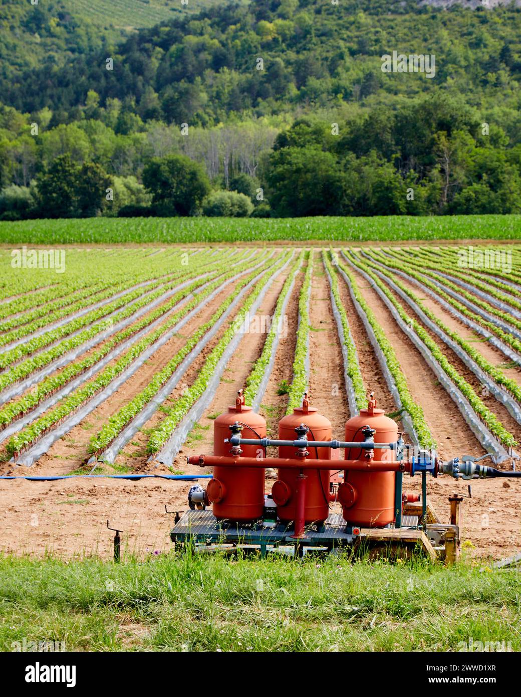 Red Tanks and Rows of Crops on a French Farm Stock Photo - Alamy