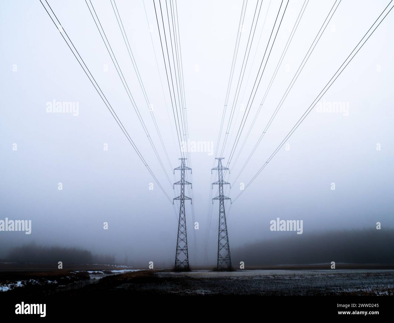 High voltage power line silhouette in foggy morning against white sky ...