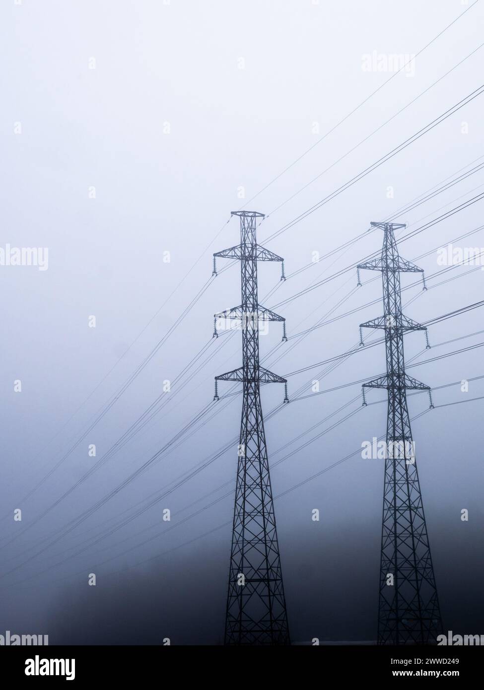 High voltage power line silhouette in foggy morning against white sky ...