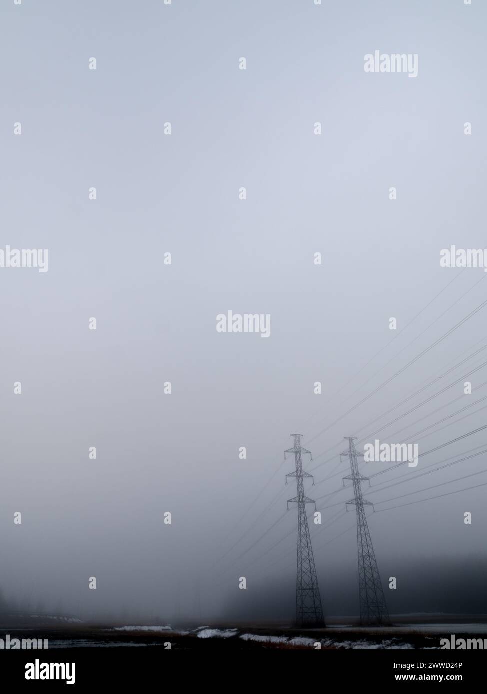 High voltage power line silhouette in foggy morning against white sky ...