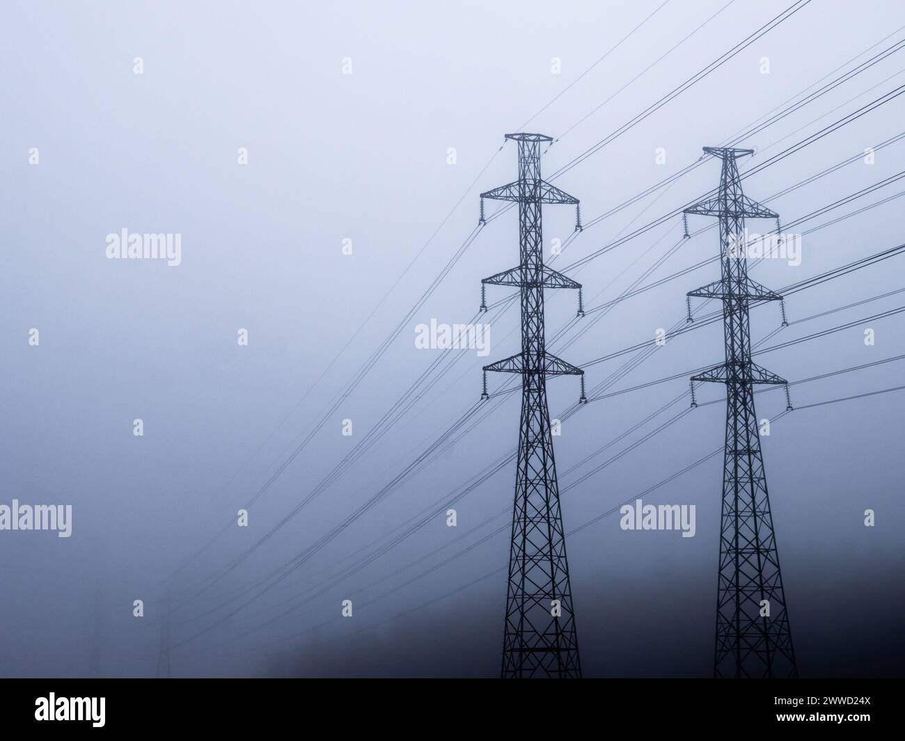 High voltage power line silhouette in foggy morning against white sky ...