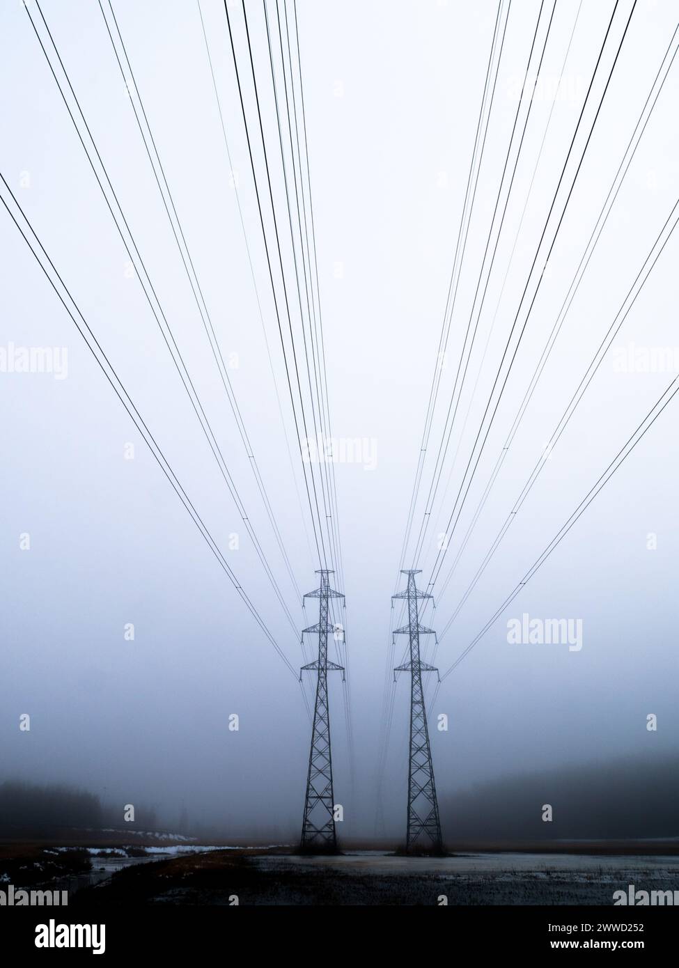 High voltage power line silhouette in foggy morning against white sky ...