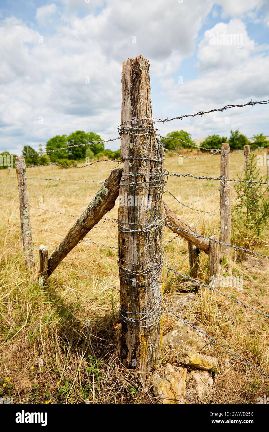Barbed Wire Wrapped around a Fence Post of Old Wooden Posts Stock Photo ...