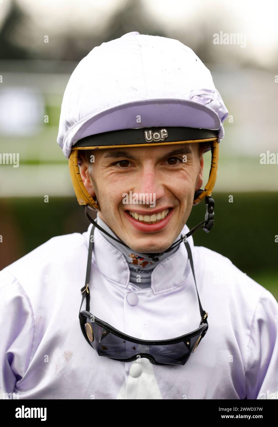 Pinna hi-res stock photography and images - Alamy