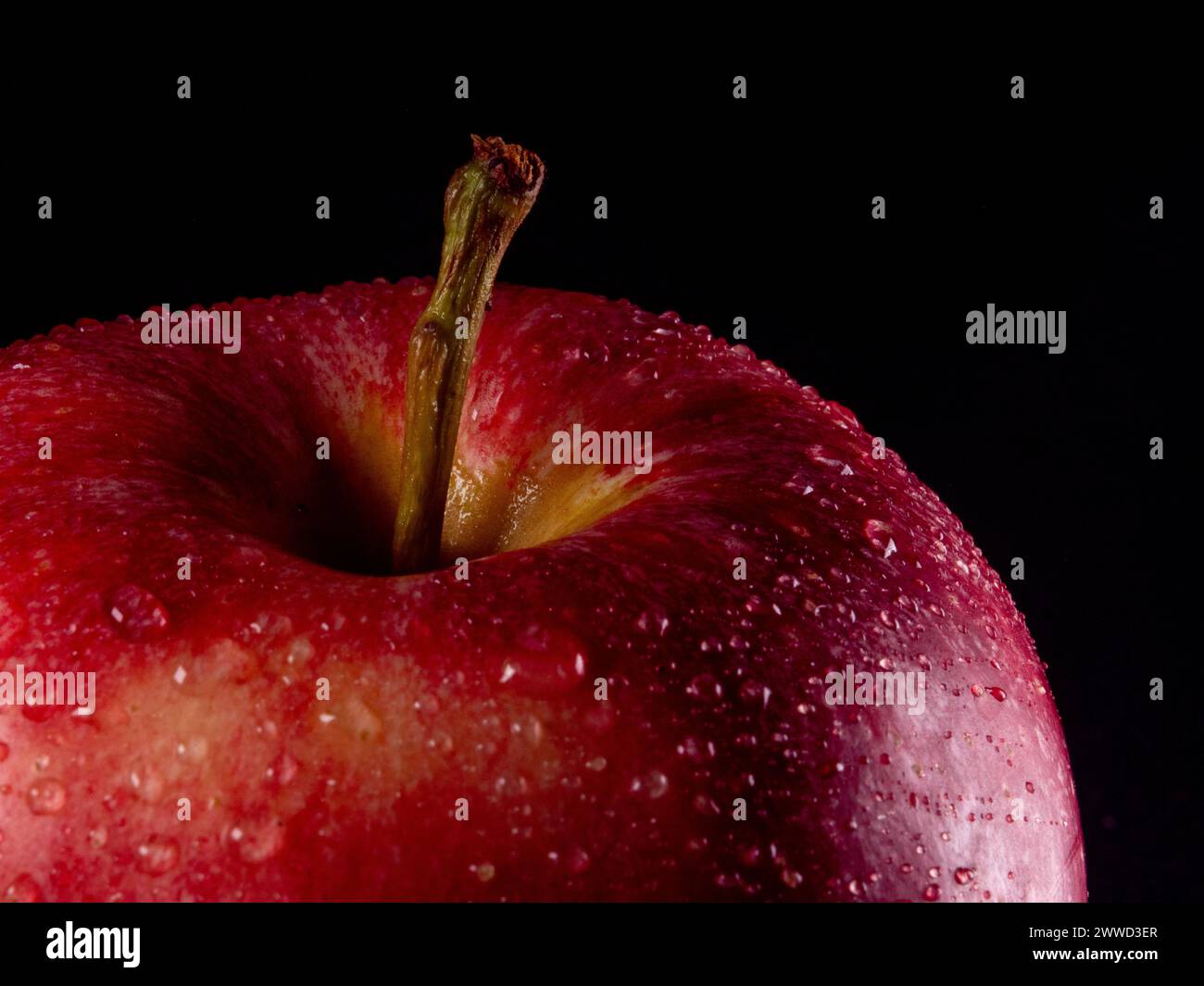 A delicious fresh and crisp red apple with water drops. Black ...