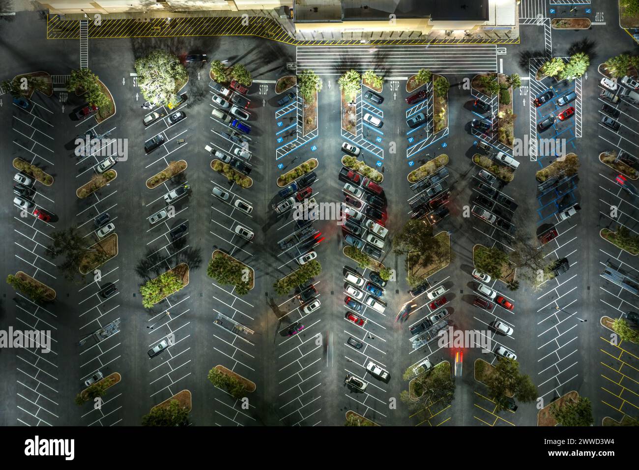 Many parked cars on store parking lot with lines and markings for ...