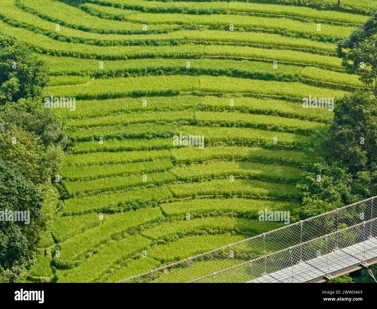 Aerial view of a Tibetan suspended bridge in Nepal is a primitive type ...