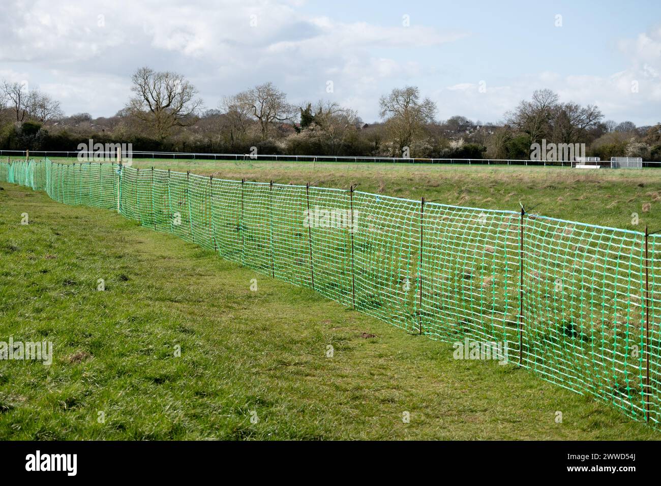 Plastic fencing on St. Mary`s Lands to protect Skylark nesting sites ...