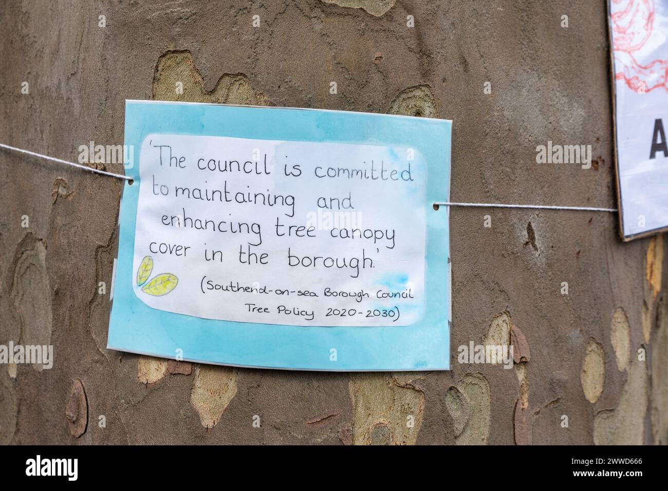 Protest to save a London Plane tree in Southend on Sea, Essex, UK. Sign ...