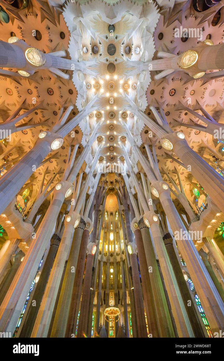 Deckengewölbe, Säulen, Sagrada Familia, Basilica von Antoni Gaudi ...