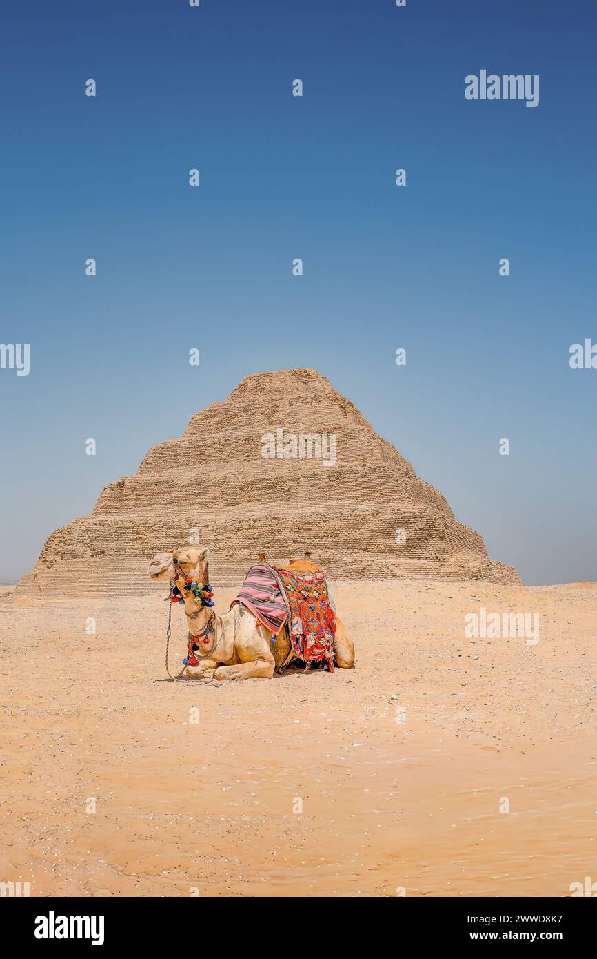 Step pyramid of king djoser hi-res stock photography and images - Alamy