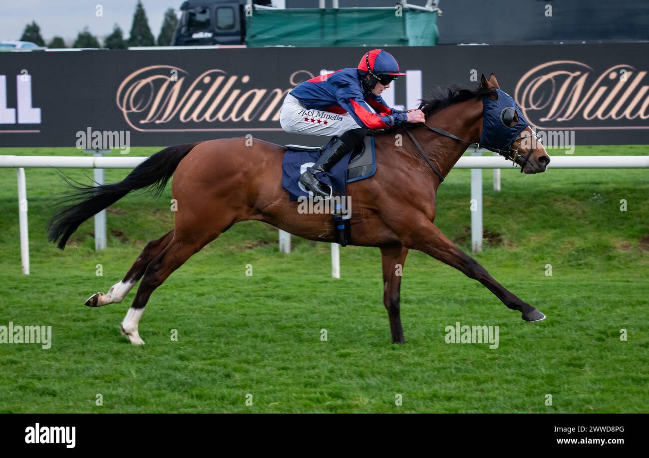 Equine division hi-res stock photography and images - Alamy