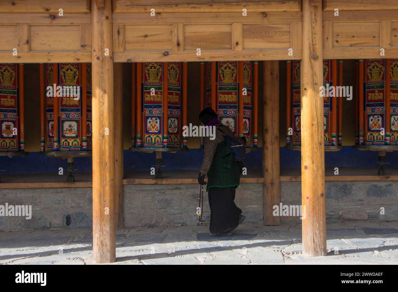 Female pilgrim walking along the hundreds of prayer wheels of the 4 km ...