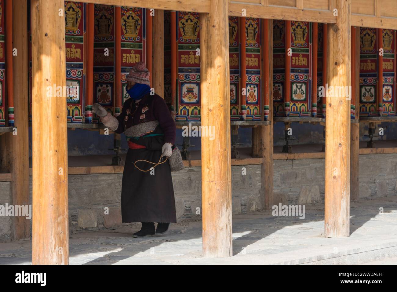 Female pilgrim walking along the hundreds of prayer wheels of the 4 km ...
