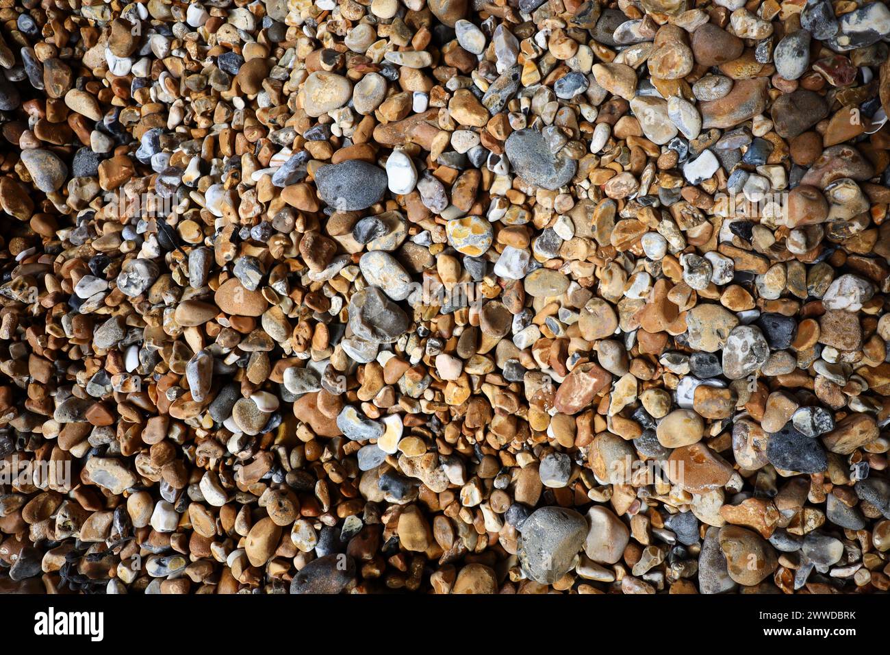 Pebbles (Beach), Hastings, East sussex, england, uk Stock Photo - Alamy