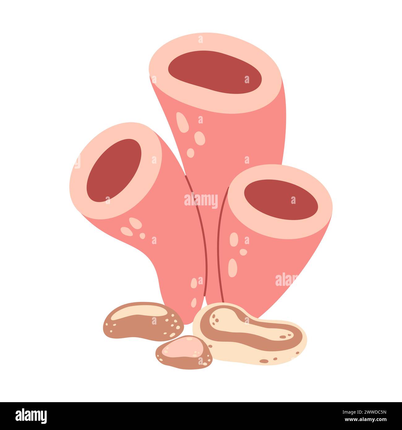 Pink tube sponges. Sea wildlife. Hand drawn tube sponges. Sea Porifera ...