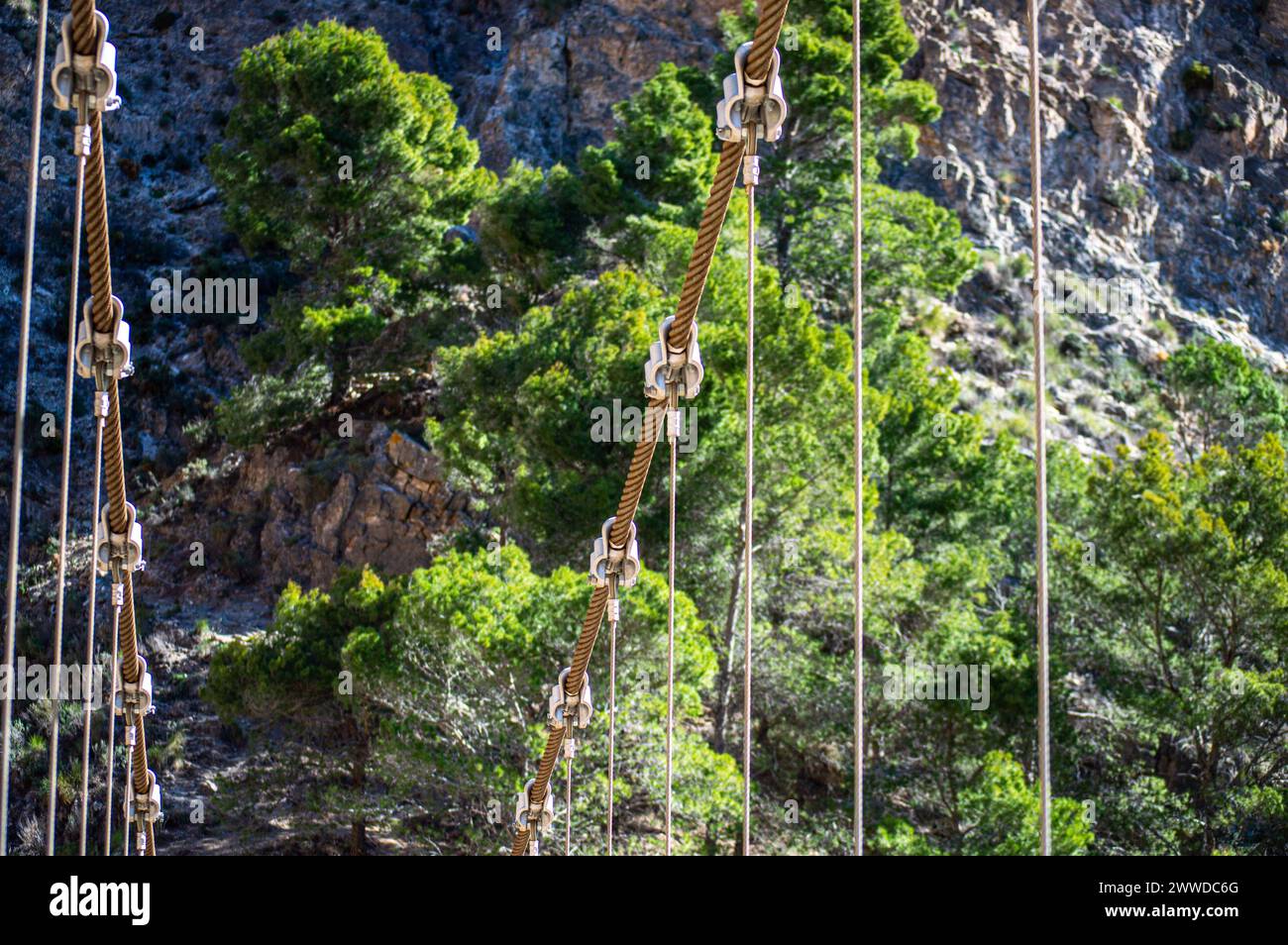 Hiking trail to Colgante bridge (Puente Colgante El Saltillo) over ...