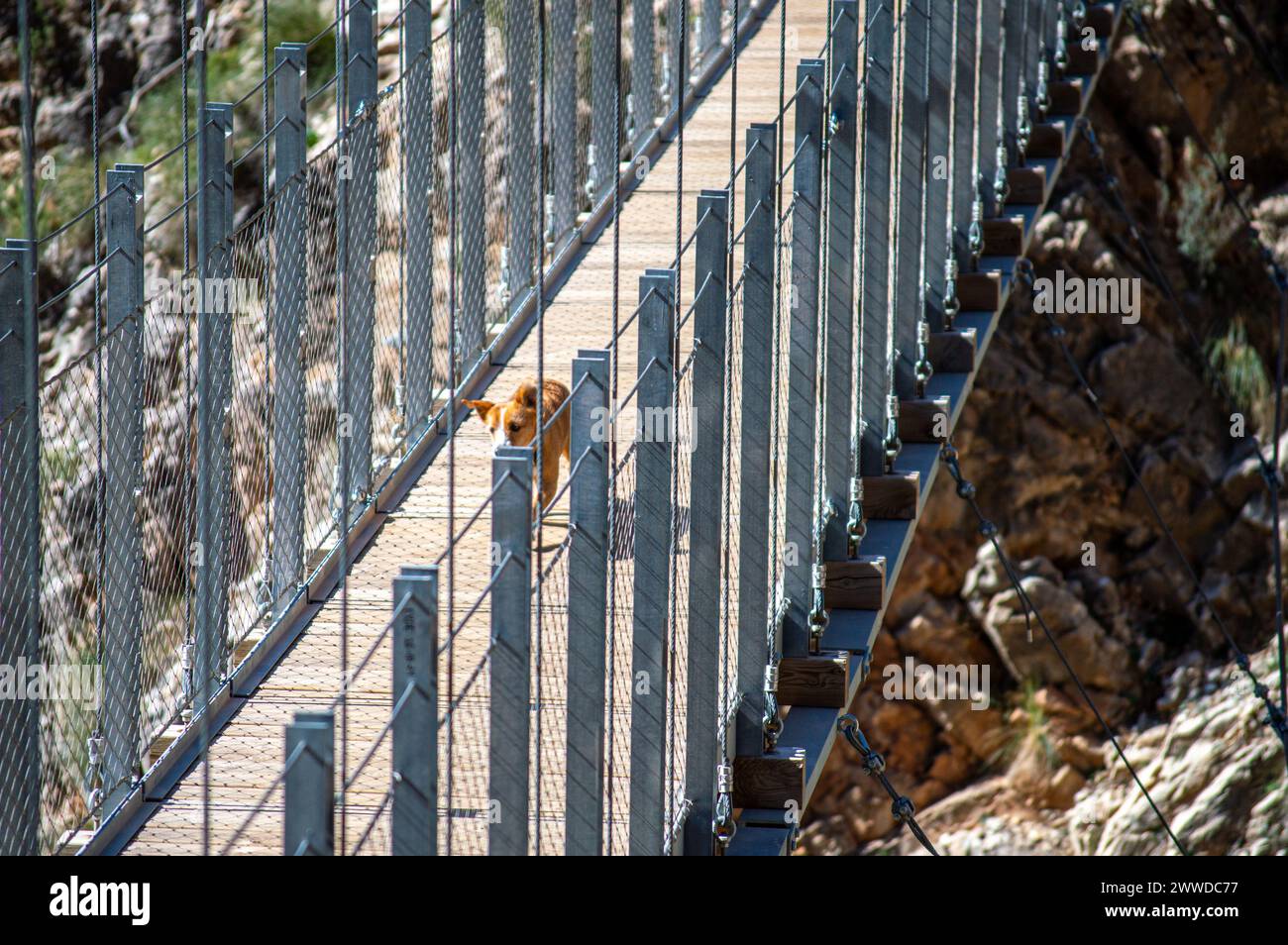 Hiking trail to Colgante bridge (Puente Colgante El Saltillo) over ...