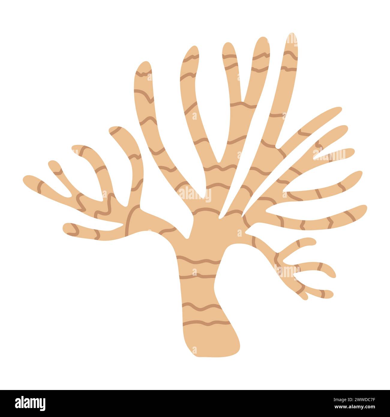 Fire coral Hand drawn sea ginger coral. Exotic coral reef underwater ...