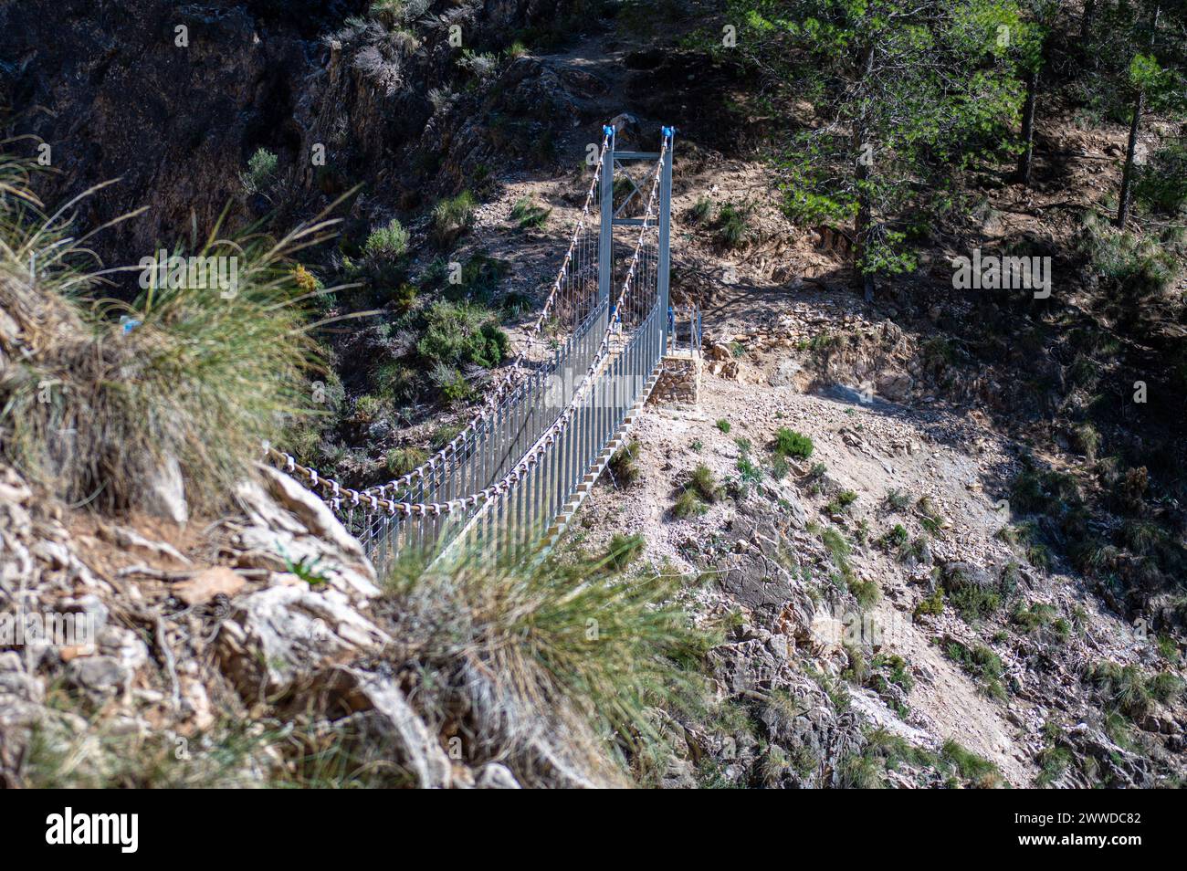 Hiking trail to Colgante bridge (Puente Colgante El Saltillo) over ...