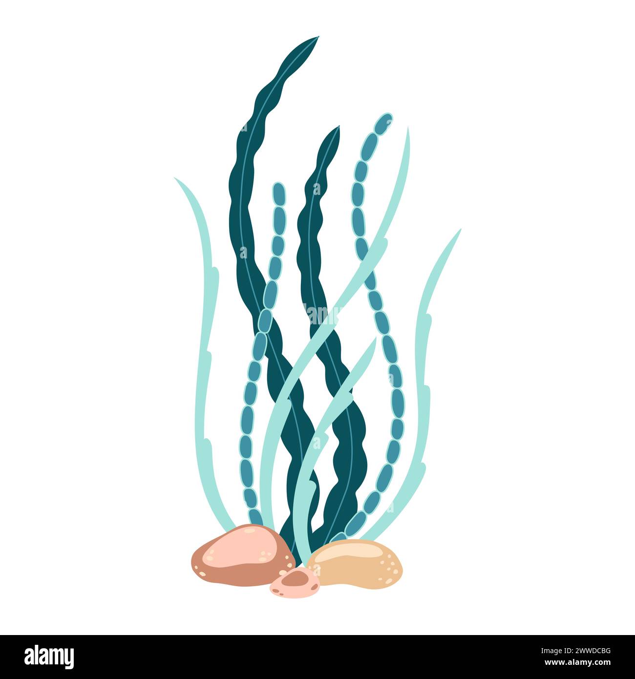 Seaweed. Hand drawn algae colorful seaweed. Underwater plants. Modern ...